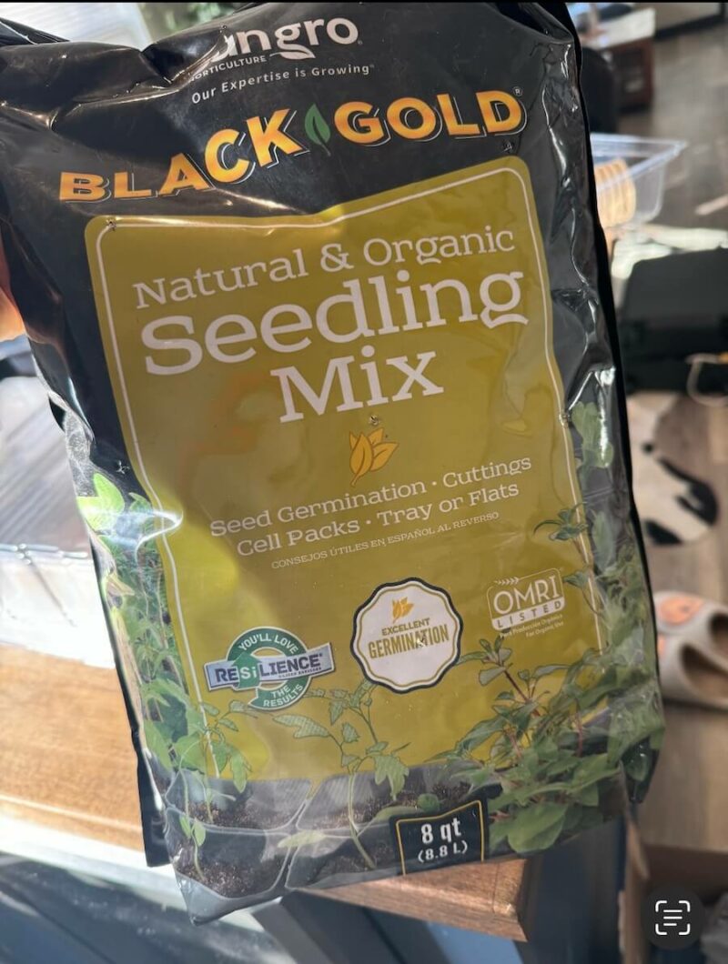 SHEARS TO SEEDS: Part 2 – Planting the Seeds of Growth - Beyond The Shag