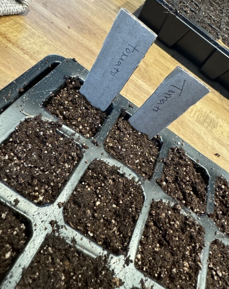 SHEARS TO SEEDS: Part 2 – Planting the Seeds of Growth - Beyond The Shag