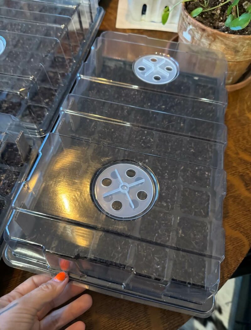 SHEARS TO SEEDS: Part 2 – Planting the Seeds of Growth - Beyond The Shag